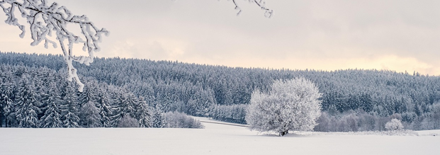 December at Footsteps: The most wonderful time of the year! - Footsteps ...